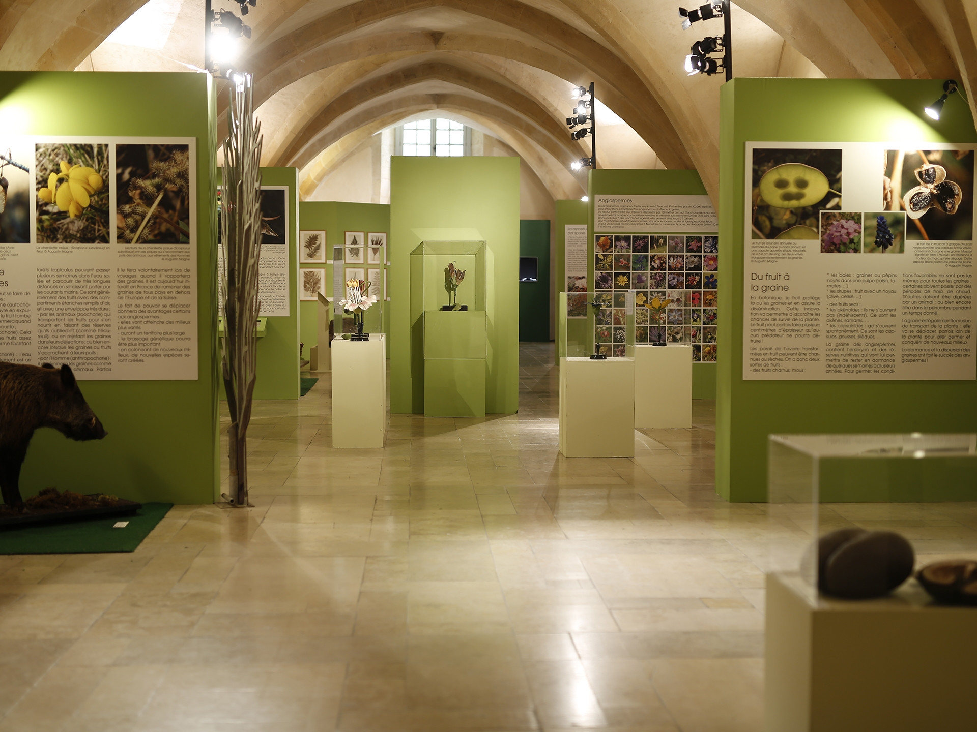 Muséum d'Histoire Naturelle • Aix en Provence - Office de Tourisme